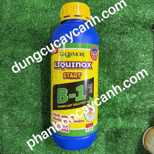 B1 Growmore 1lit - DỤNG CỤ CÂY CẢNH KIM GIÁP